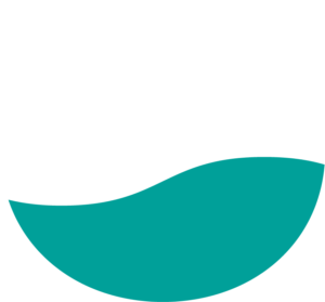 Texion